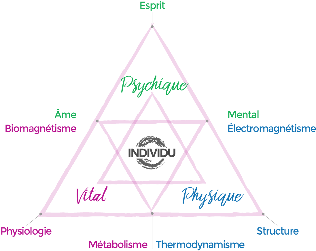 Les 5 piliers de la naturopathie - Ma Santé Au Naturel